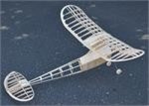 | Kits - Free Flight Rubber Radical RC
