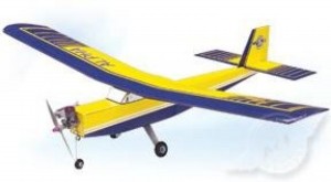 Ace Hobby Simple Series Radical RC