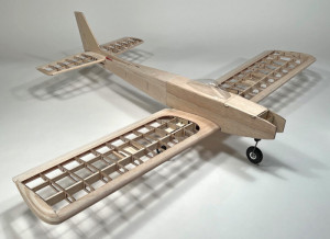 | Kits - Old School Model Works Radical RC