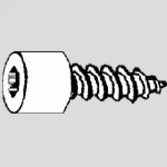 Socket Head Sheet Metal Screw, #6 x 3/4" Qty 10